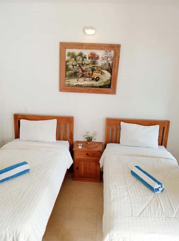 From Nusa Penida: 2D1N Gili Islands Private Snorkeling Tour - Deep Dive into the Itinerary