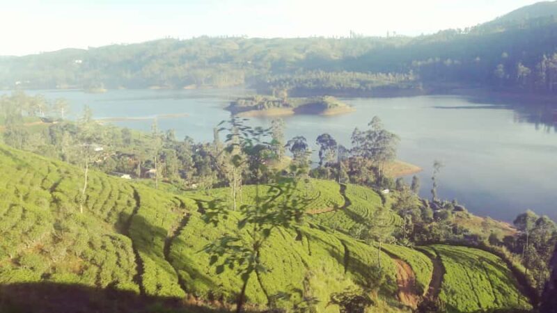From Nuwara Eliya: Adam's Peak Climb & Ella Drop - What To Expect During the Tour