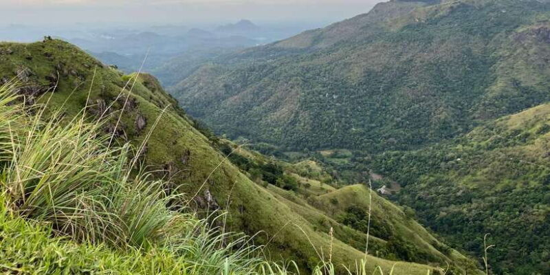 From Nuwara Eliya: Ella City Tour with Little Adam's Peak - Cost and Value