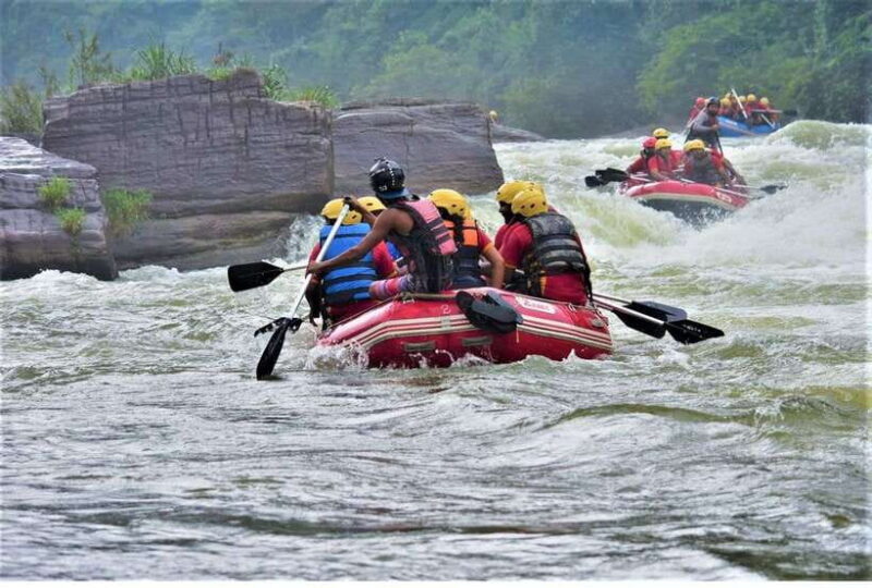 From Nuwara Eliya: White Water Rafting in Kithulgala-Private - An Adventure for Water Lovers and First-Timers Alike