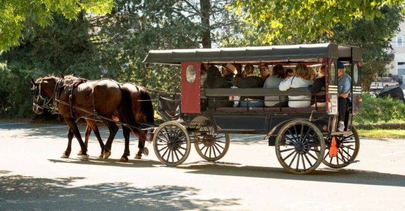 From NYC: Day Trip to Philadelphia and Amish Country - Transitioning into Amish Country: A World Apart
