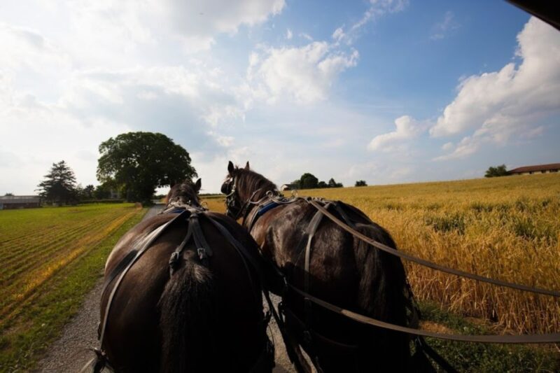 From NYC: Day Trip to Philadelphia and Amish Country - Understanding the Amish Way of Life
