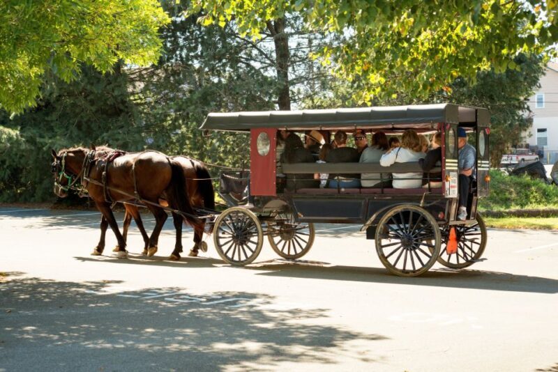 From NYC: Day Trip to Philadelphia and Amish Country - What Travelers Are Saying