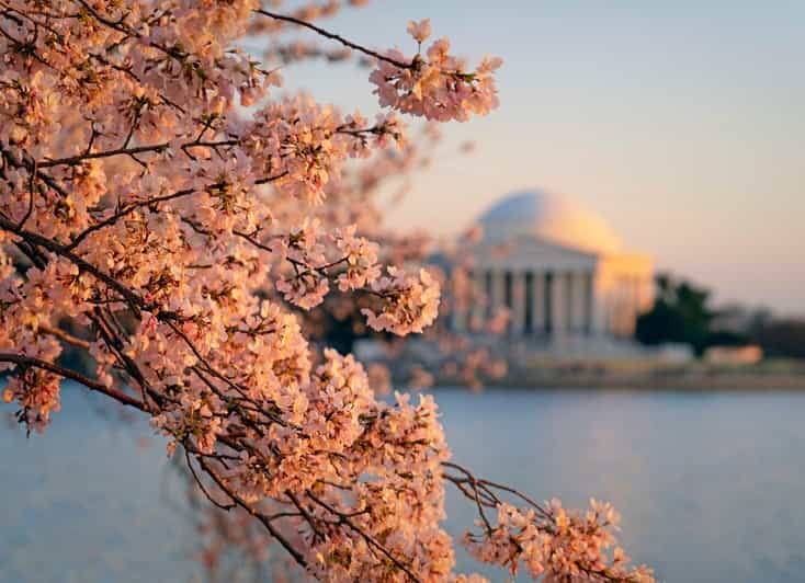 From NYC: Niagara Falls, Washington DC and Boston 4-Day Trip - Who Is This Tour Best For?