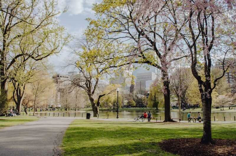 From NYC/NJ: 2-Day Tour to Washington DC, Philadephia - Authentic Experiences and Practical Details