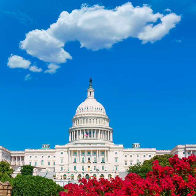 From NYC: Private Washington & Philadelphia Tour in 1 Day - Experience the Best of Washington D.C. & Philadelphia in One Day