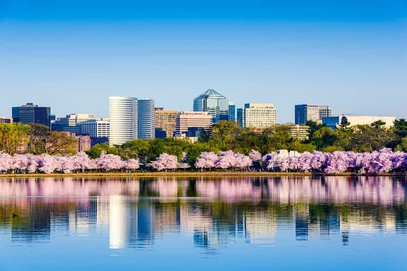From NYC: Private Washington & Philadelphia Tour in 1 Day - Practical Details and What You Need to Know
