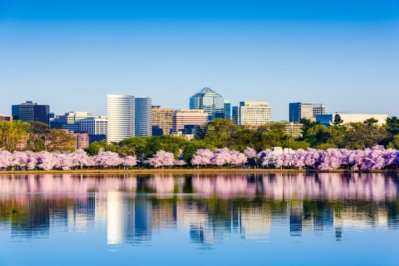 From NYC: Private Washington & Philadelphia Tour in 1 Day - Final Thoughts: Who Will Love This Tour?