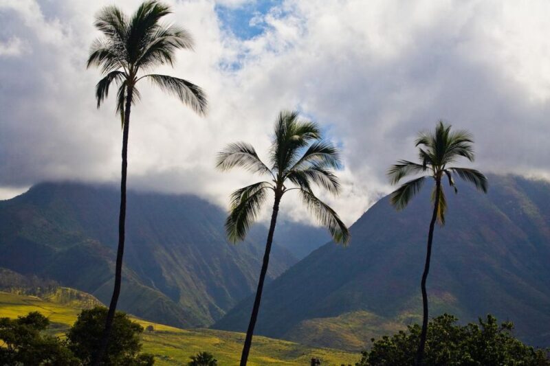 From Oahu: Best of Maui/Haleakala - Sips, Sites & Bites - Final Thoughts