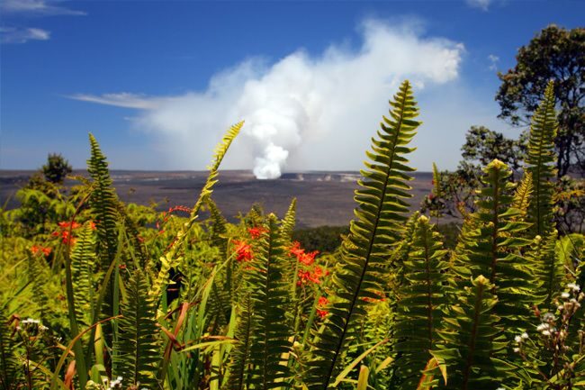 From Oahu: Big Island Volcano Adventure + Helicopter - Key Points