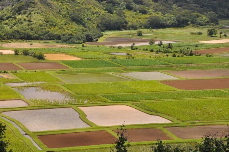 From Oahu: Kauai Highlights & Movie Sites - FAQs about From Oahu: Kauai Highlights & Movie Sites