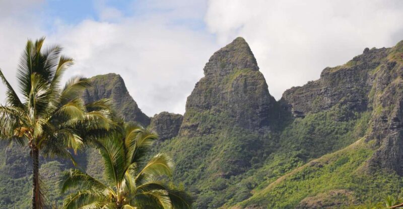From Oahu: Kauai Highlights & Movie Sites - Who Will Love This Tour?