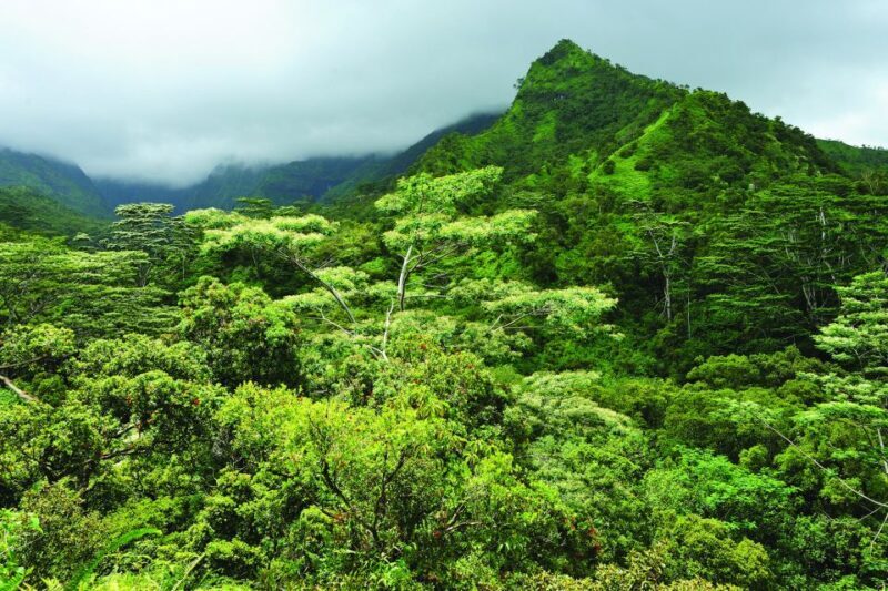 From Oahu: Kauai Highlights & Movie Sites - Frequently Asked Questions