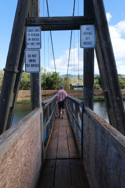 From Oahu: Kauai Waimea Canyon and Koke'e State Park Tour - Arriving in Kauai: Starting the Adventure