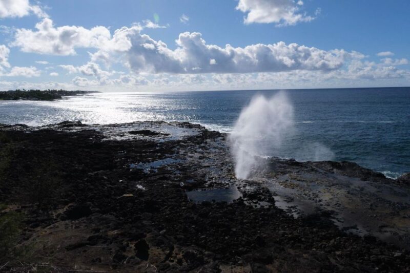 From Oahu: Kauai Waimea Canyon and Koke'e State Park Tour - Who Will Love This Tour?