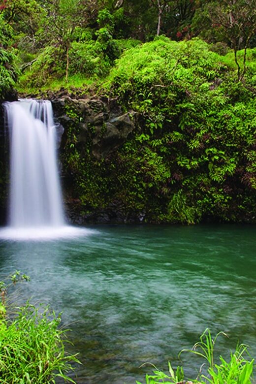 From Oahu: Maui Road to Hana Sightseeing Tour - An Overview of what this tour offers