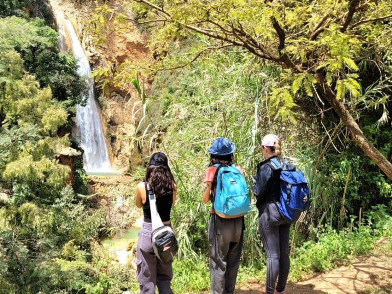 From Oaxaca: Apoala Magic Waterfalls Hike & Swim Adventure - The Appeal of the Apoala Waterfalls Tour