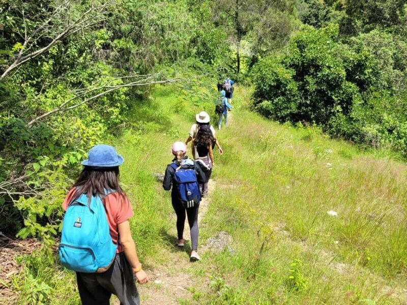 From Oaxaca: Apoala Magic Waterfalls Hike & Swim Adventure - What’s Included and What’s Not