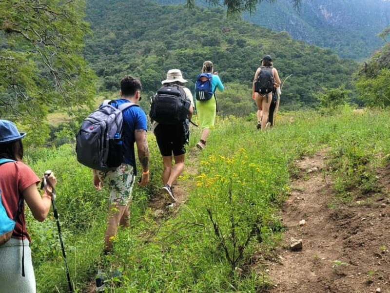 From Oaxaca: Apoala Magic Waterfalls Hike & Swim Adventure - The Experience: Who Is It Best For?