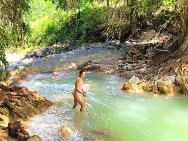 From Oaxaca: Apoala Magic Waterfalls Hike & Swim Adventure - Authentic Experiences and Highlights