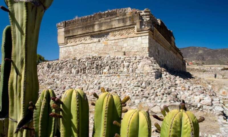 From Oaxaca: City, Mitla, and Mezcal Factory Tour - What We Learned From Reviews