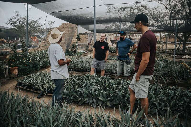 From Oaxaca : Crafts & Cuisine All Included Guided Tour - Key Points