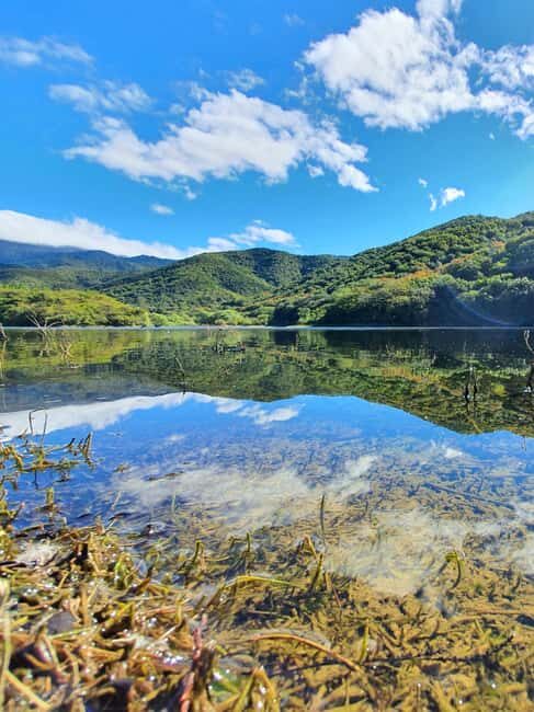 From Oaxaca: MTB Guided Bike Tour, Tule Tree & Lake Half-Day - Discovering Oaxaca’s Countryside on Two Wheels