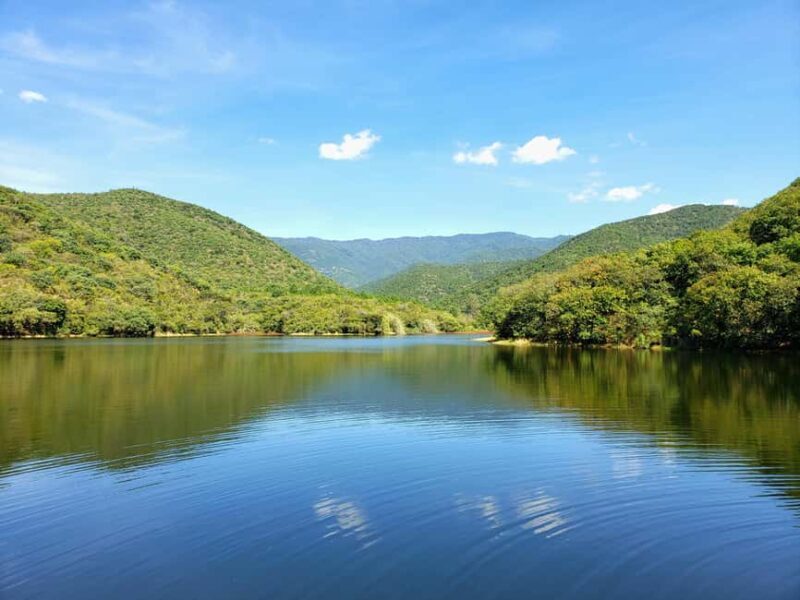 From Oaxaca: MTB Guided Bike Tour, Tule Tree & Lake Half-Day - Detailed Itinerary Breakdown