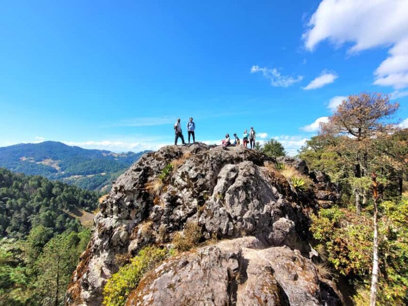 From Oaxaca: Sierra Norte Hike & Indigenous Village Full-Day - The Sum Up