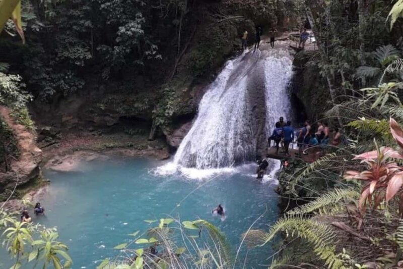 From Ocho Rios: Blue Hole & Dunn's River Falls Tour - Authentic Highlights from Reviews