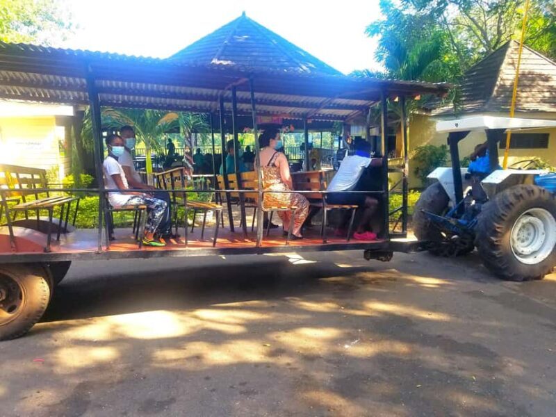 From Ocho Rios: Flavors of Jamaica Guided Food Tour - Final Thoughts