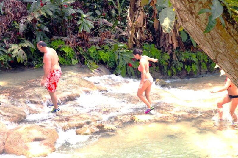 From Ocho Rios: The Blue Hole and Dunn's River Falls Trip - Authentic Jamaican Cuisine and Rest Break