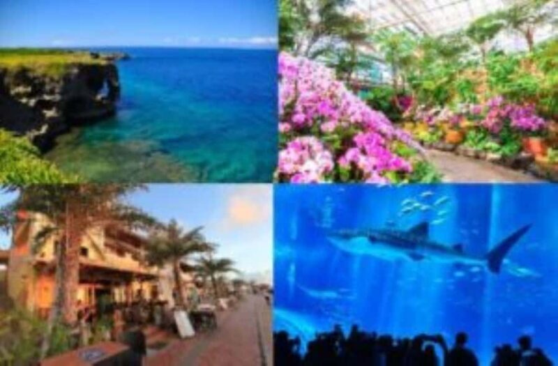 From Okinawa: Churaumi Aquarium & Cape Manzamo 1-Day Tour - An Introduction to the Tour Experience