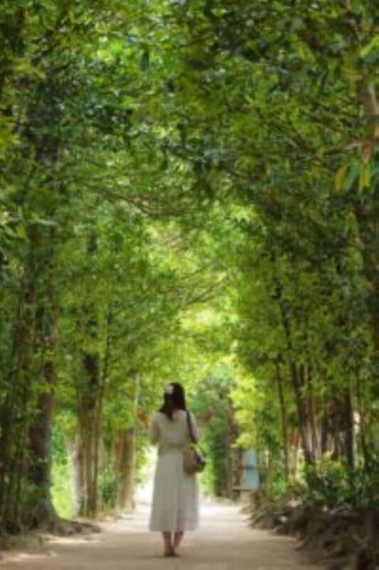 From Okinawa: Churaumi Aquarium & Cape Manzamo 1-Day Tour - FAQs