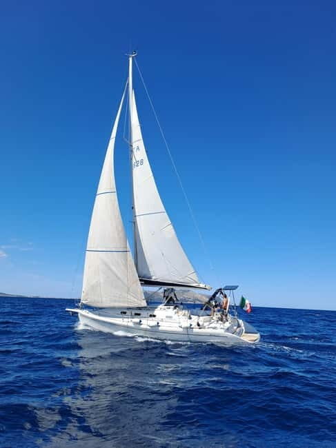 From Olbia: sailing tour between Tavolara and Cala Moresca - The Experience: Navigating Sardinia’s northeastern coast