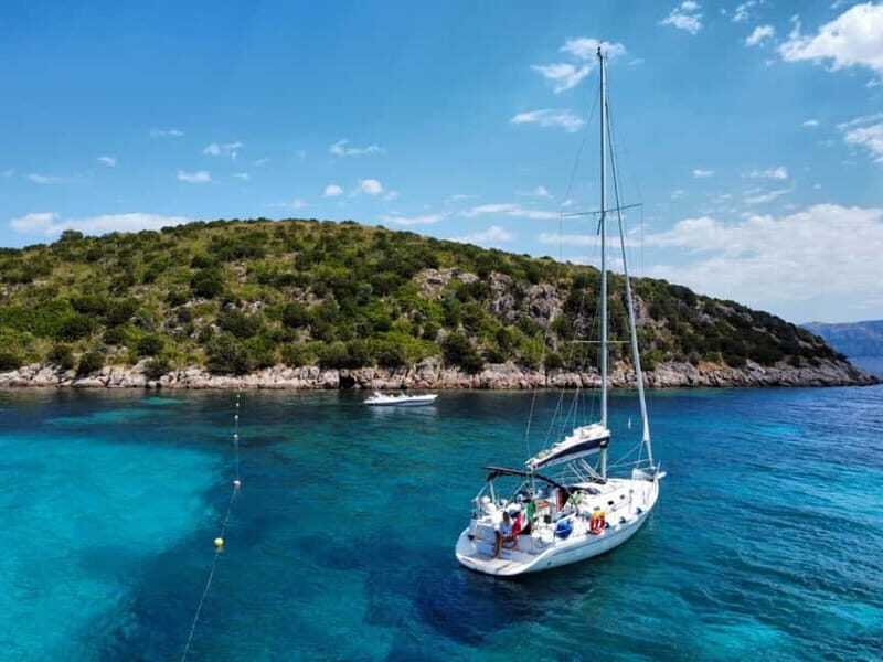 From Olbia: sailing tour between Tavolara and Cala Moresca - Dolphin Spotting and Other Wildlife Encounters