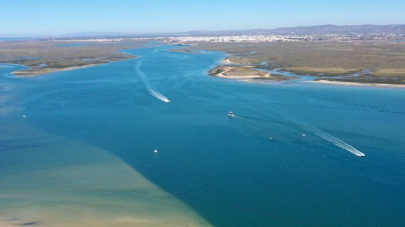 From Olhão: Ria Formosa 3-Island Full-Day Tour - Who Should Consider This Tour?