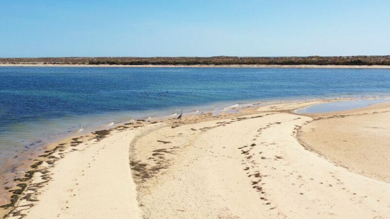 From Olhão: Ria Formosa 3-Island Full-Day Tour - Frequently Asked Questions (FAQs)