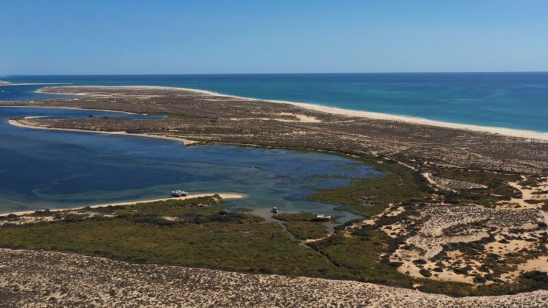 From Olhão: Ria Formosa 3-Island Full-Day Tour with Sunset - Who Will Love This Tour?