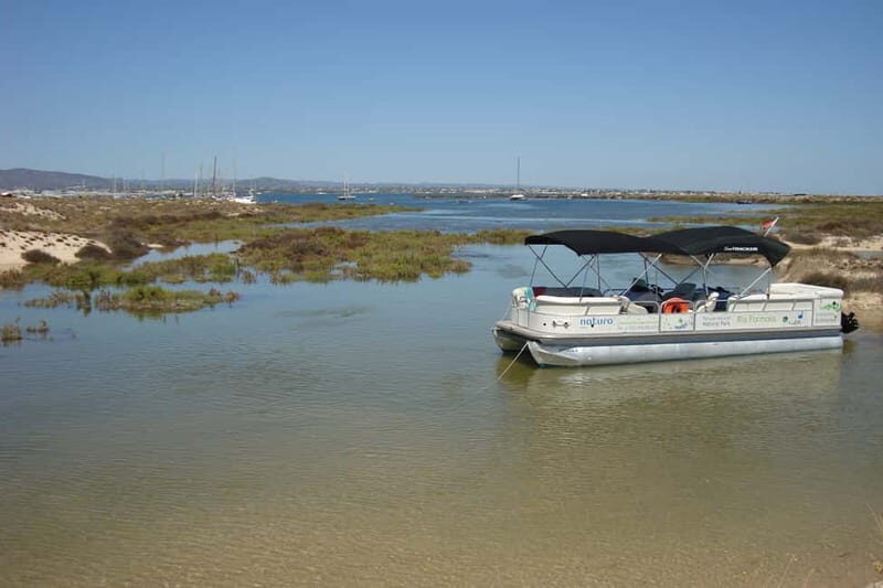 From Olhão: Ria Formosa & Culatra Island 3.5-Hour Boat Trip - Exploring the Ria Formosa & Culatra Island: A Detailed Review of a Relaxing Coastal Cruise