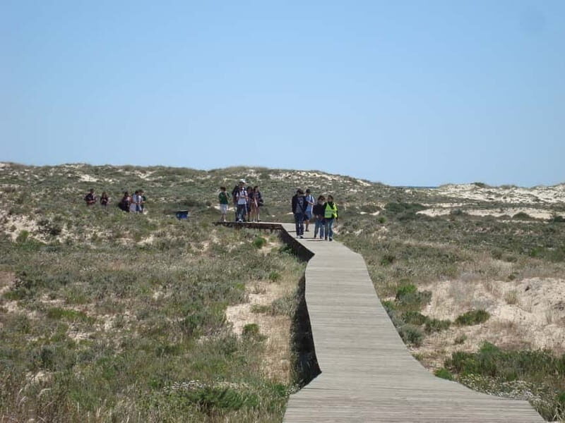 From Olhão: Ria Formosa & Culatra Island 3.5-Hour Boat Trip - Who Should Consider This Tour?