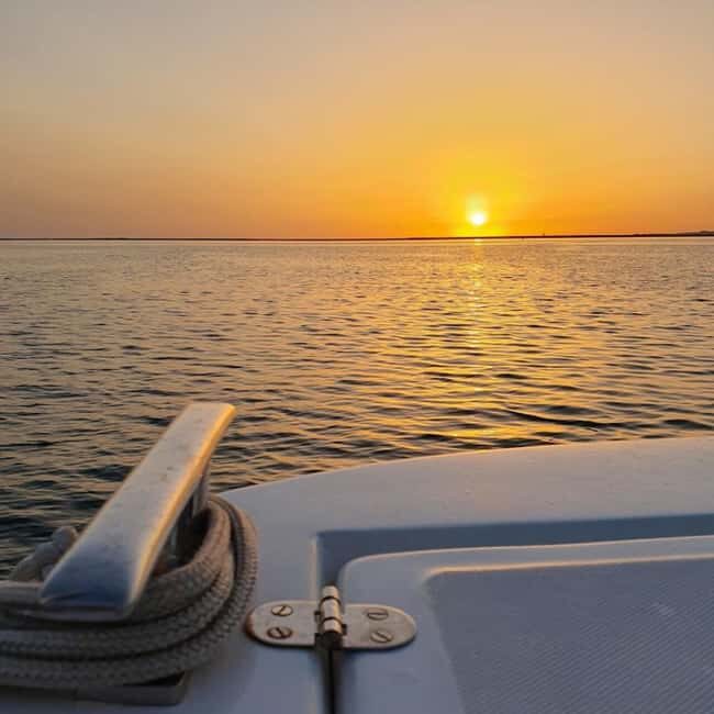 From Olhão: Ria Formosa Sunset Island Boat Tour - A Thorough Look at the Experience
