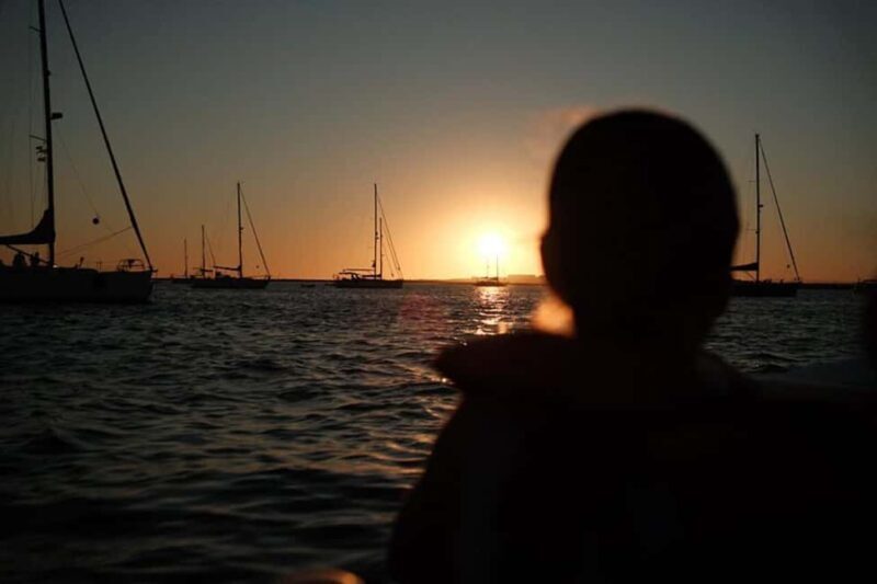 From Olhão: Ria Formosa Sunset Island Boat Tour - Practical Aspects and Value