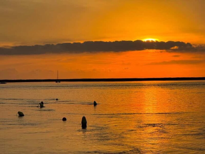 From Olhão: Ria Formosa Sunset Island Boat Tour - Who Will Love This Tour?