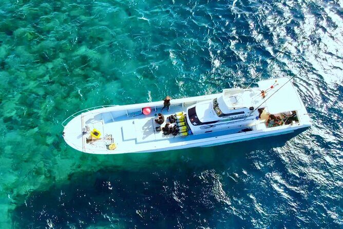 From Onna Village (Maeda Fishing Port)!Fishing and Trolling | Fully Chartered Boat Plan (3-Hour/6-Hour Course) - Introduction