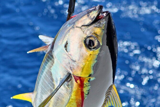 From Onna Village (Maeda Fishing Port)!Fishing and Trolling | Fully Chartered Boat Plan (3-Hour/6-Hour Course) - What Makes This Tour Stand Out?