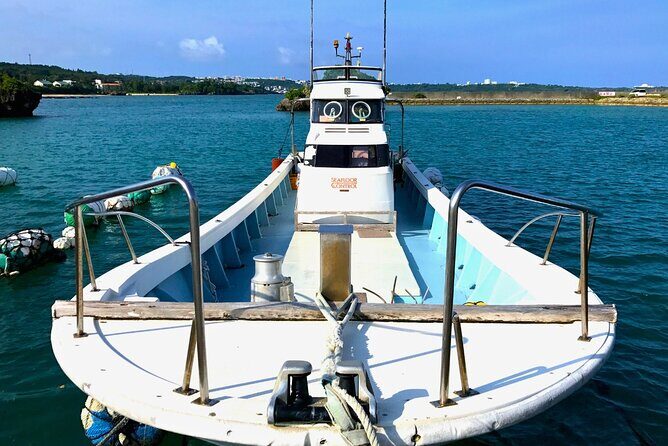 From Onna Village (Maeda Fishing Port)!Fishing and Trolling | Fully Chartered Boat Plan (3-Hour/6-Hour Course) - Final Thoughts