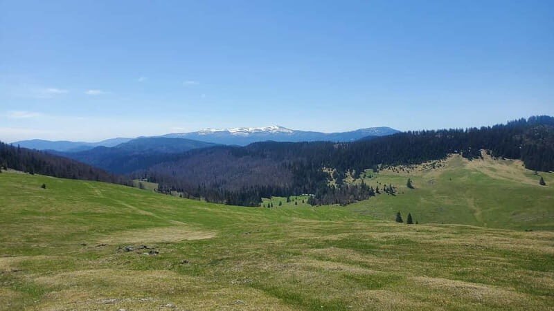 From Oradea: Apuseni Mountains Guided Hiking Tour - Introduction