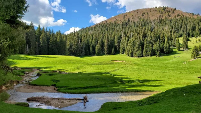 From Oradea: Apuseni Mountains Guided Hiking Tour - Why This Tour Will Likely Appeal to You