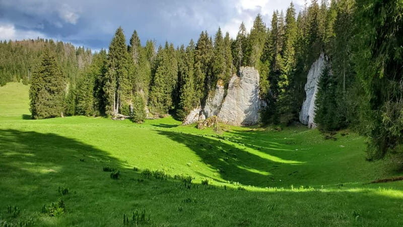 From Oradea: Apuseni Mountains Guided Hiking Tour - The Sum Up